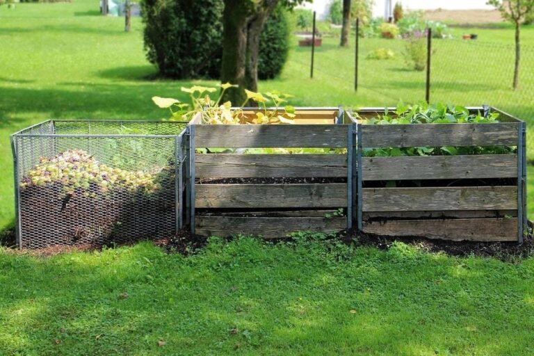 Compostage : qu’est-ce que c’est ? – Du côté de votre jardin